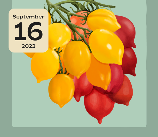 3rd Annual Tomato Fest with Culinary Breeding Network | Wellspent Market