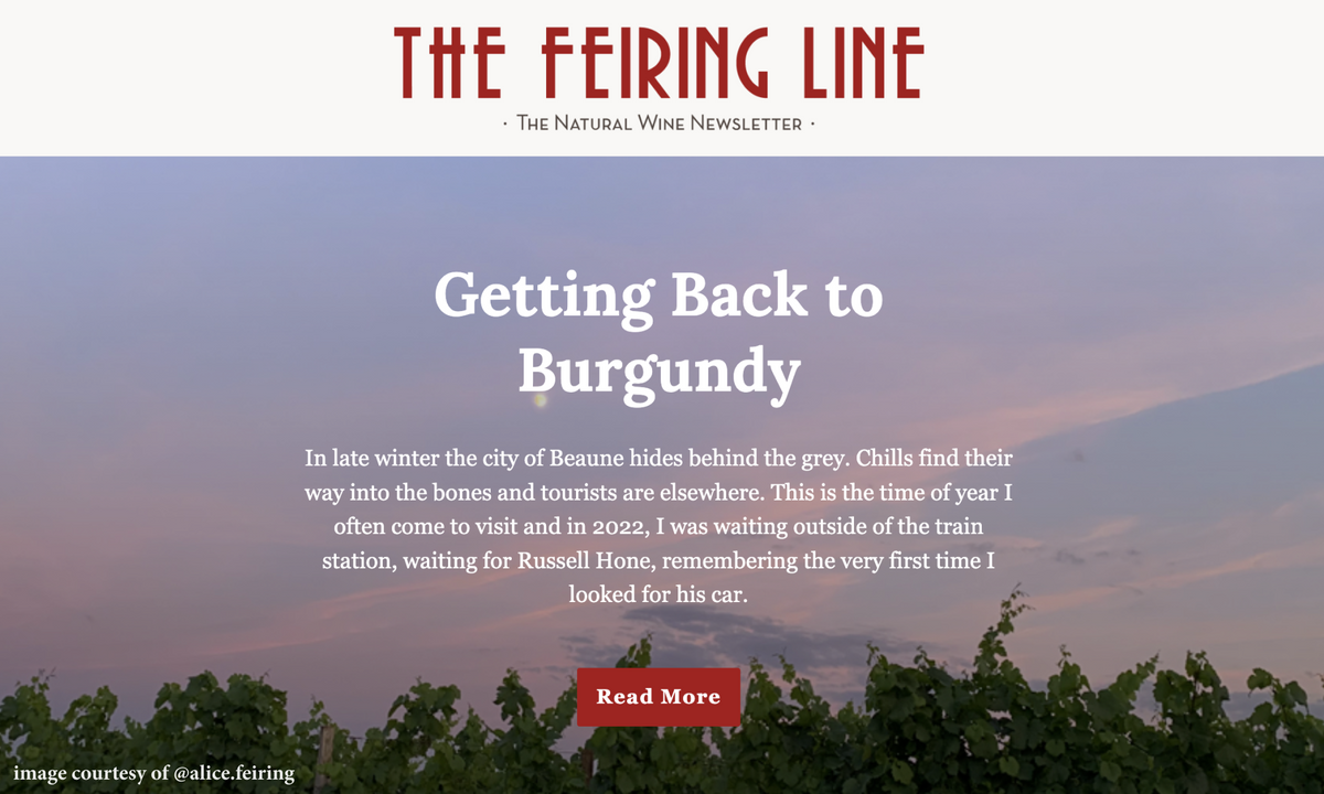 Alice Feiring, Writer and Natural Wine Advocate | Wellspent Market