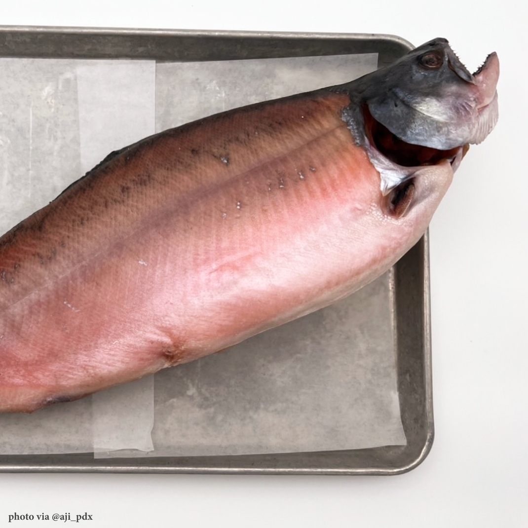 Dry Aged Salmon & Poke with Aji Fish Butchery | Wellspent Market