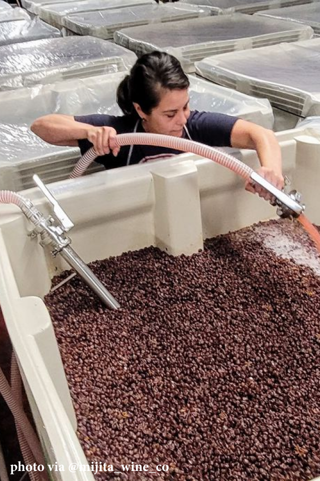 Meet the Woman Behind Mijita Wines! | Wellspent Market